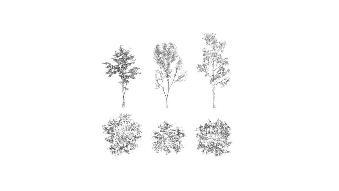 Libray 80 Brushes Pack ABR for Photoshop – Brush, Plants, Trees ...