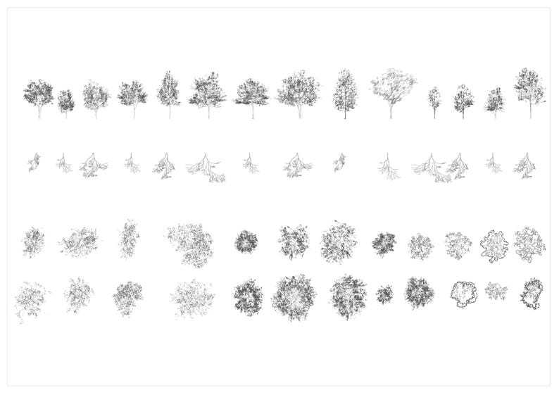 Library 30 Blocs Trees DWG | 2D CAD Autocad Plants | Illustration ...