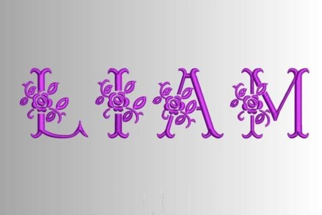 Liam Name Embroidery Design: Personalized Monogram (digital File) - Etsy