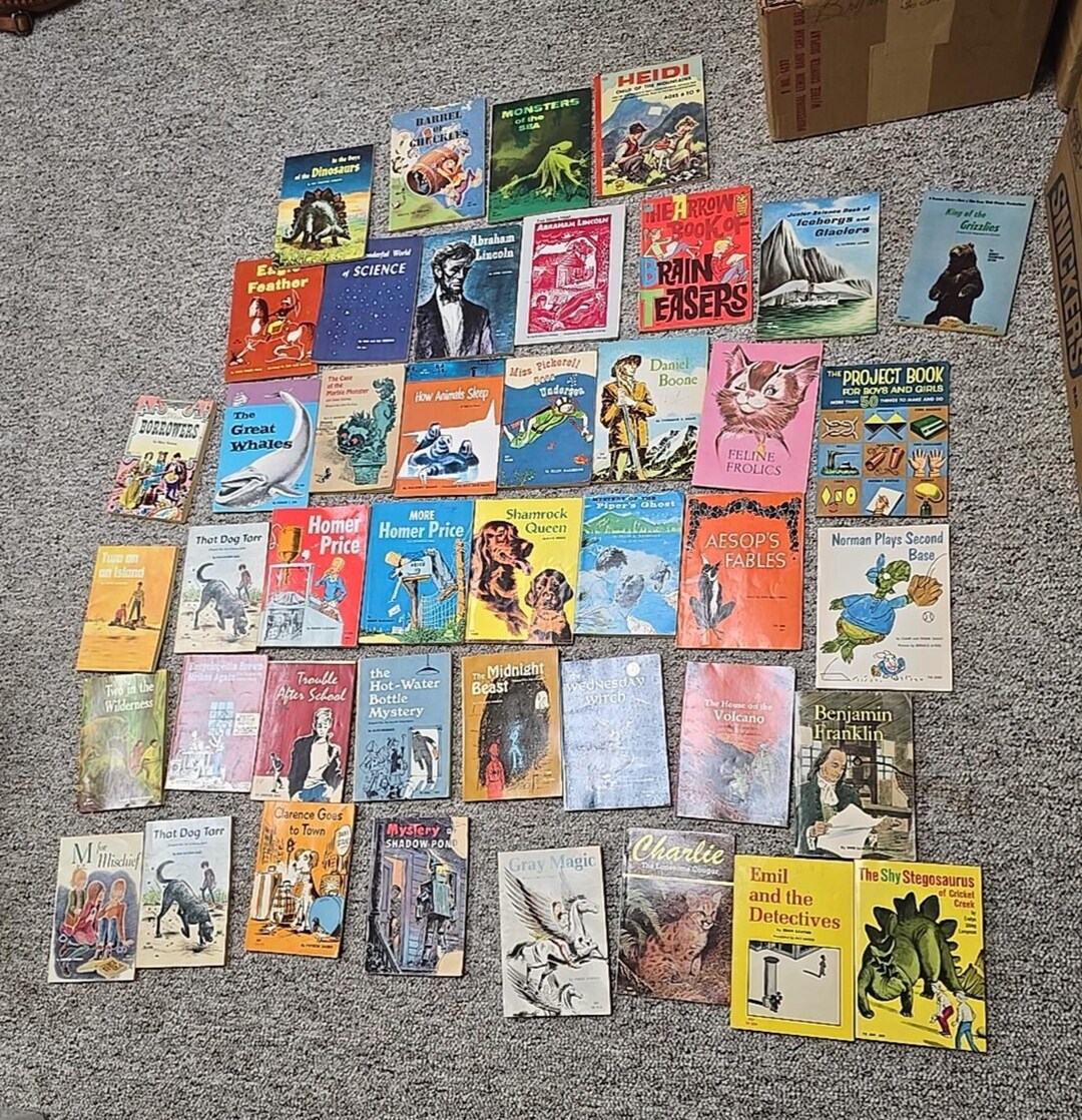 Vtg Sbs TX Scholastic & Others PB Books 1960s-90s VTG Variety of Titles ...