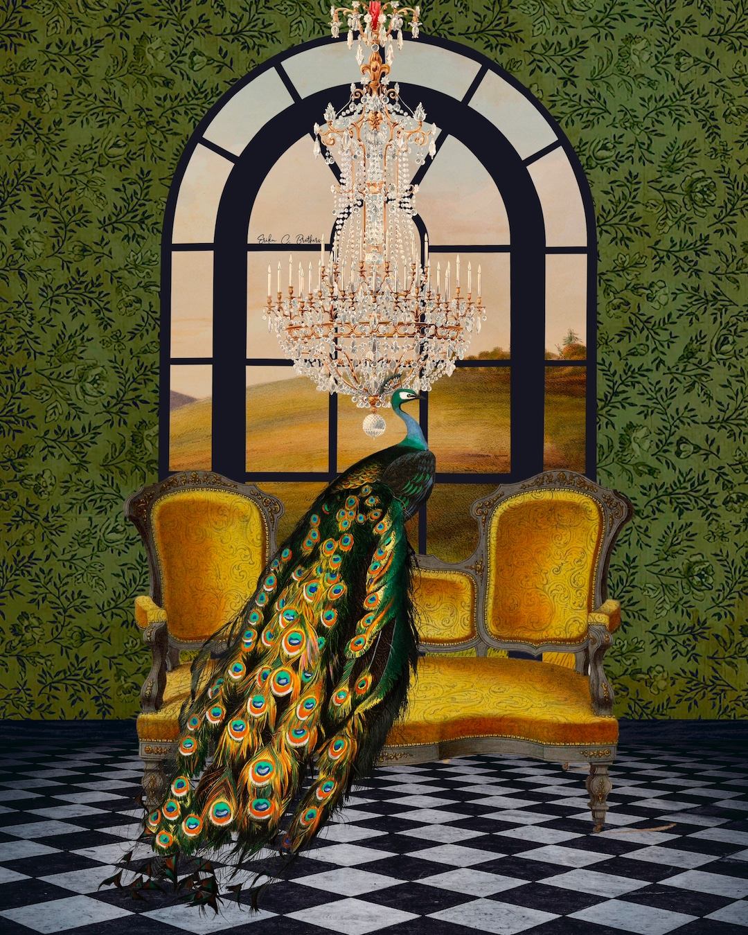 Peacock Extravagant, Birds, Animal Portrait, Giclee, Wall Decorations ...