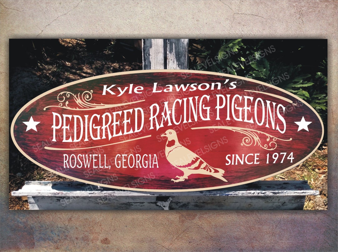 Pedigreed Racing Pigeon Loft Bird Watcher Pigeon Coop Garden Gift ...