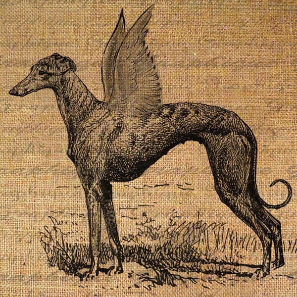 Greyhound Angel - Etsy