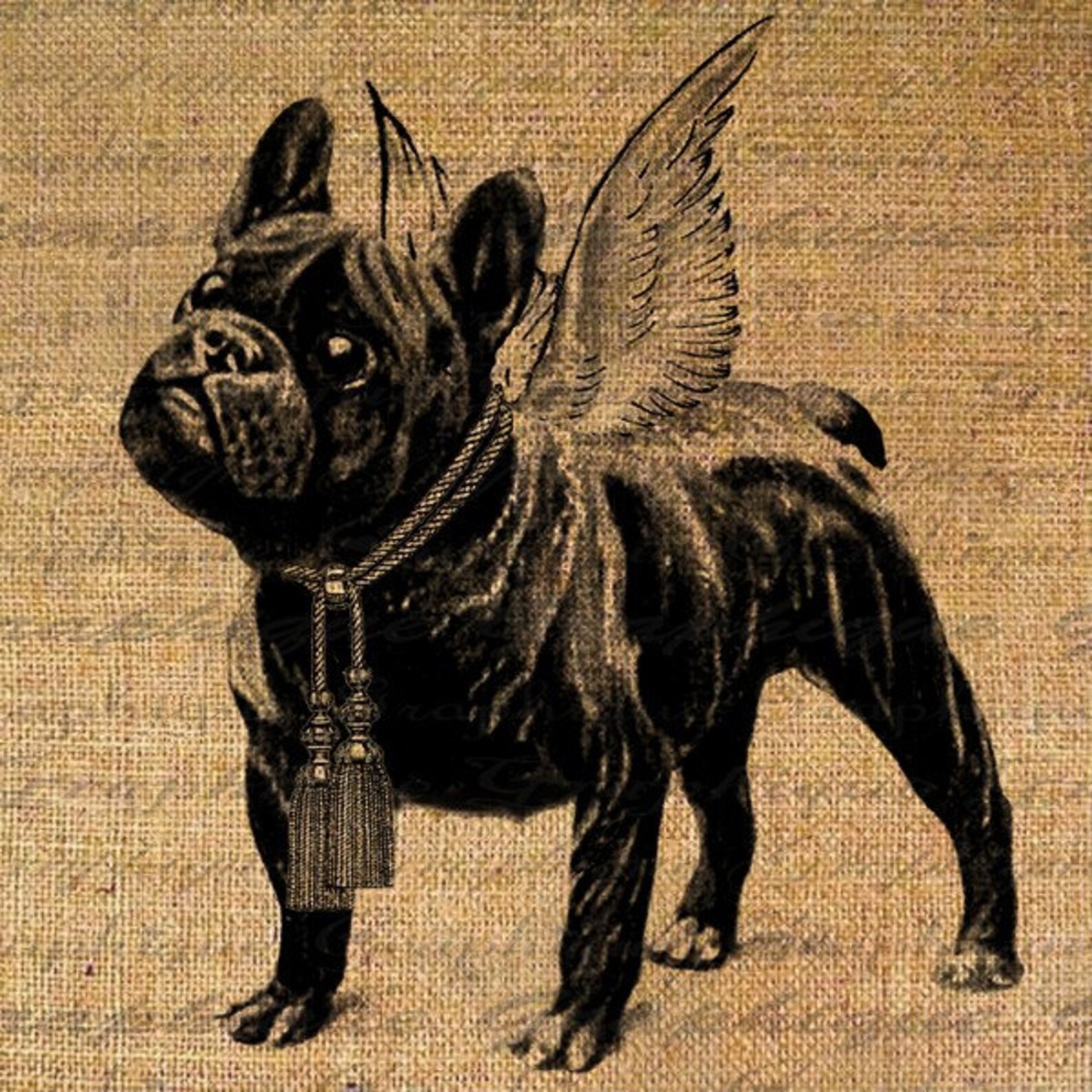 French Bulldog Angel Wings Tassels Dog Puppy Digital Image - Etsy