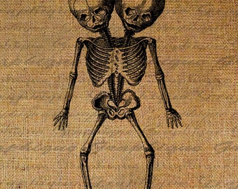 Two Headed Skeleton - Etsy