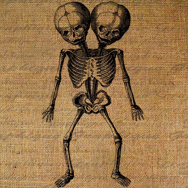 Two Headed Skeleton - Etsy