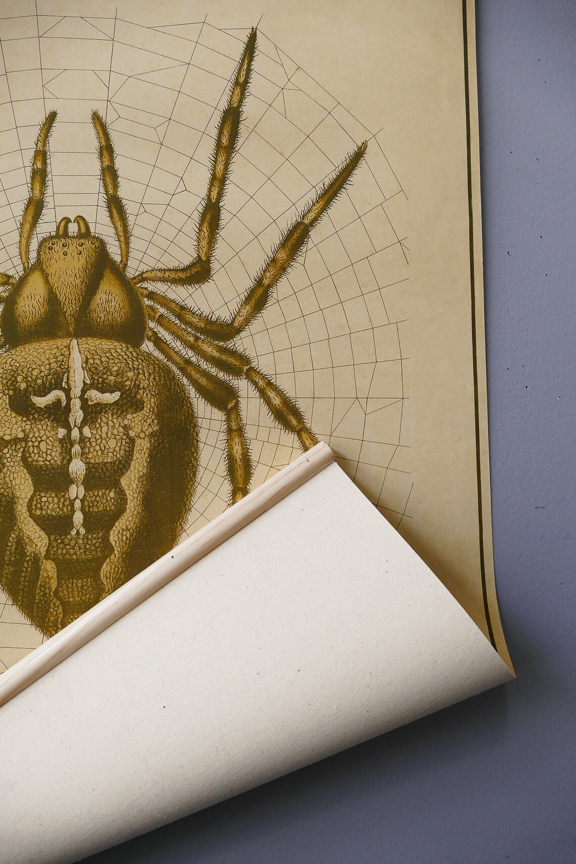 The Spider Chart Linen Mounted Ready to Hang - Etsy