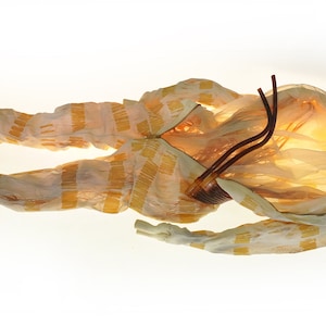 Apollo Era NASA Space Shuttle Liquid Cooled and Ventilation Garment ...