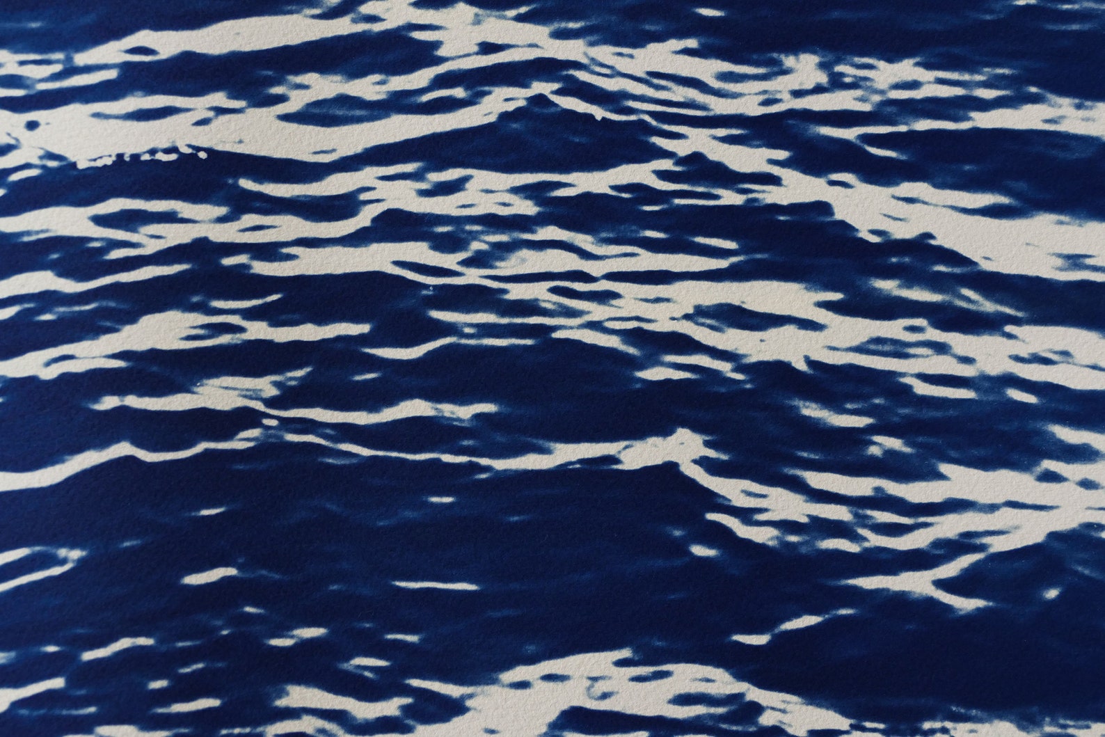 Water Cyanotype on Heavy Watercolor Paper High Quality Hand Made ...