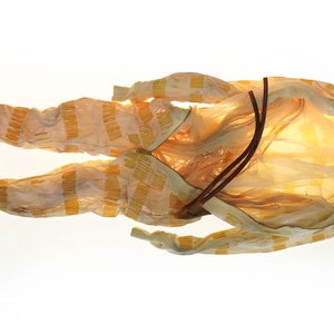 Apollo Era NASA Space Shuttle Liquid Cooled and Ventilation Garment ...