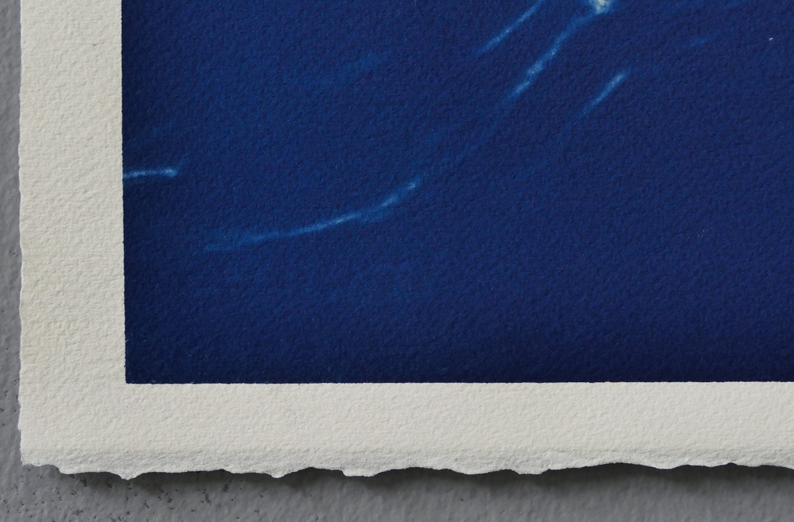 Water Cyanotype on Heavy Watercolor Paper High Quality Hand - Etsy