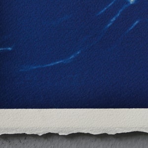 Water Cyanotype on Heavy Watercolor Paper High Quality Hand Made ...