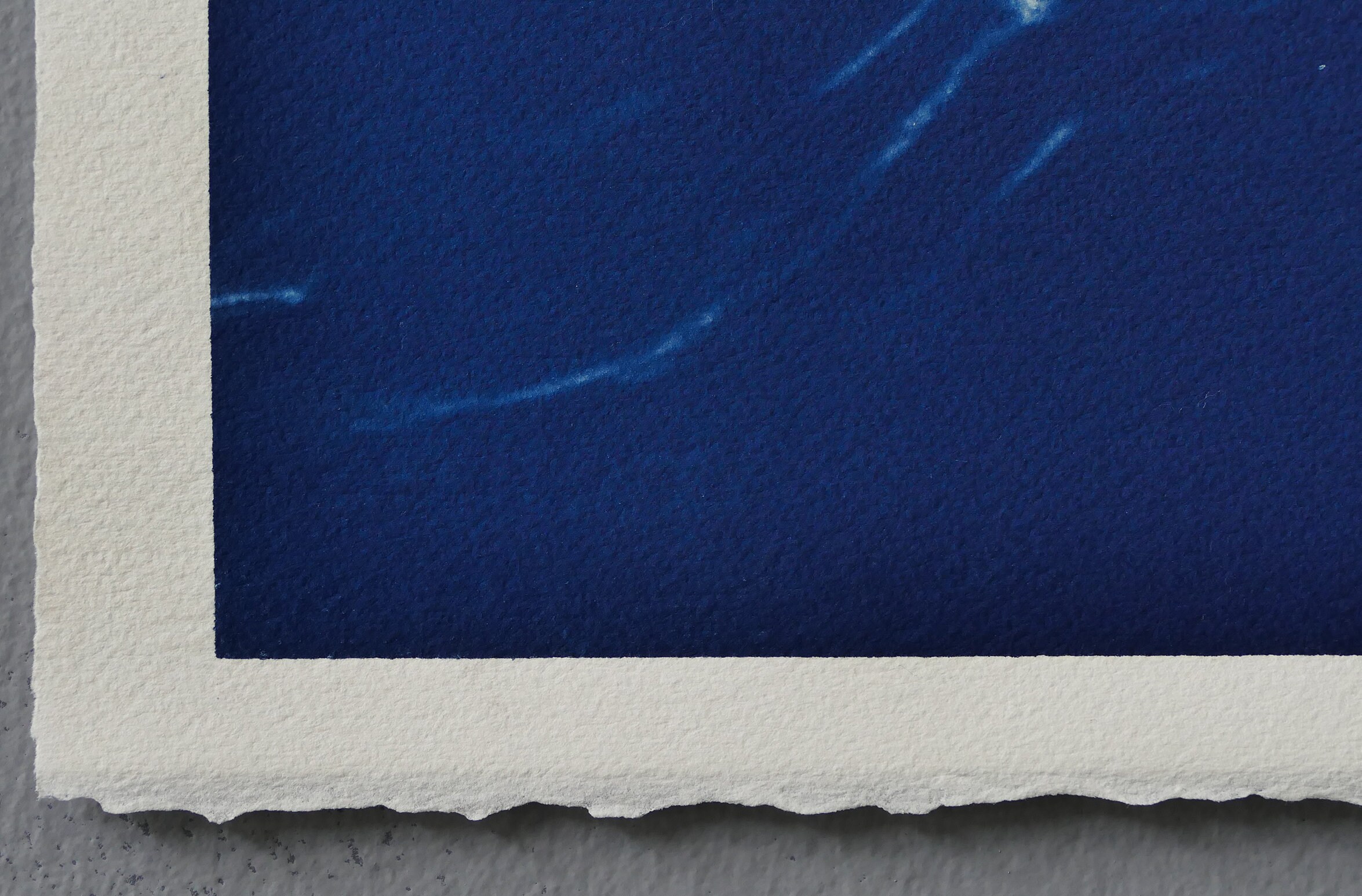 Water Cyanotype on Heavy Watercolor Paper High Quality Hand - Etsy