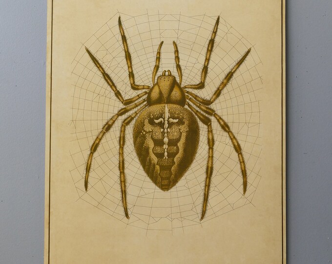 This item is unavailable | Etsy