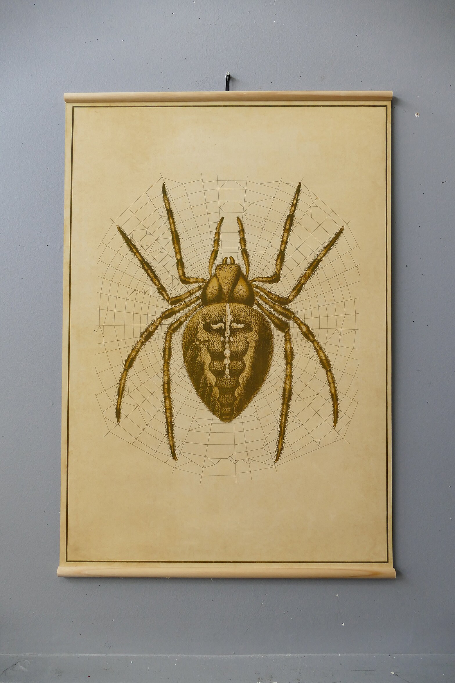 The Spider Chart Linen Mounted Ready to Hang - Etsy