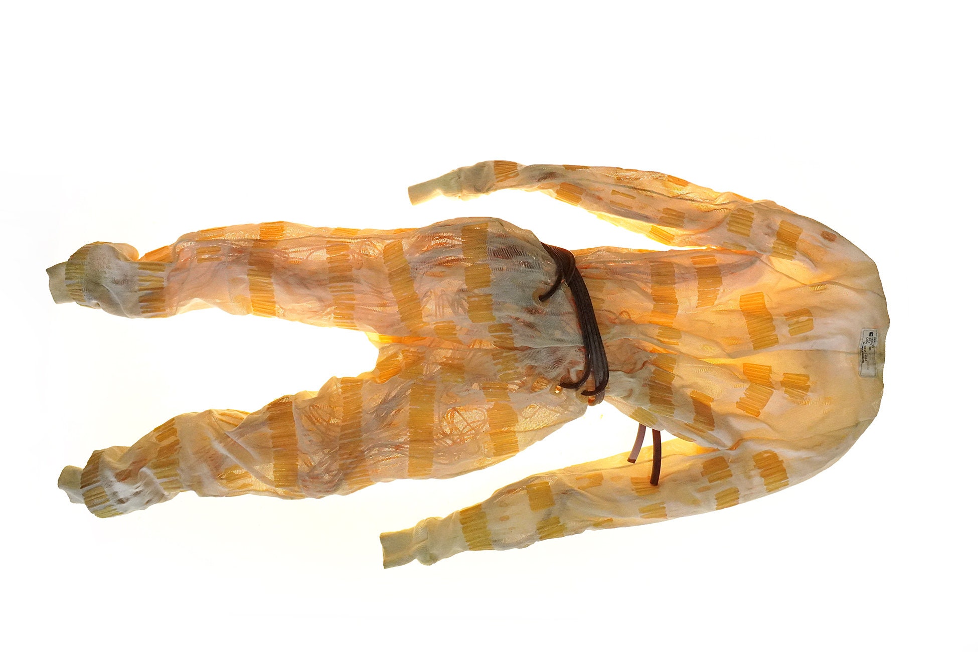 Apollo Era NASA Space Shuttle Liquid Cooled and Ventilation Garment ...