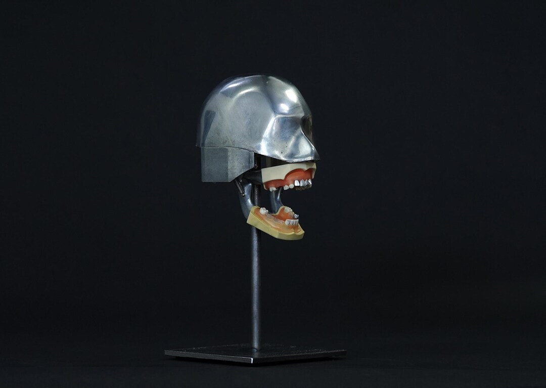 Pediatric Phantom With Unique Teeth Set - Etsy Singapore