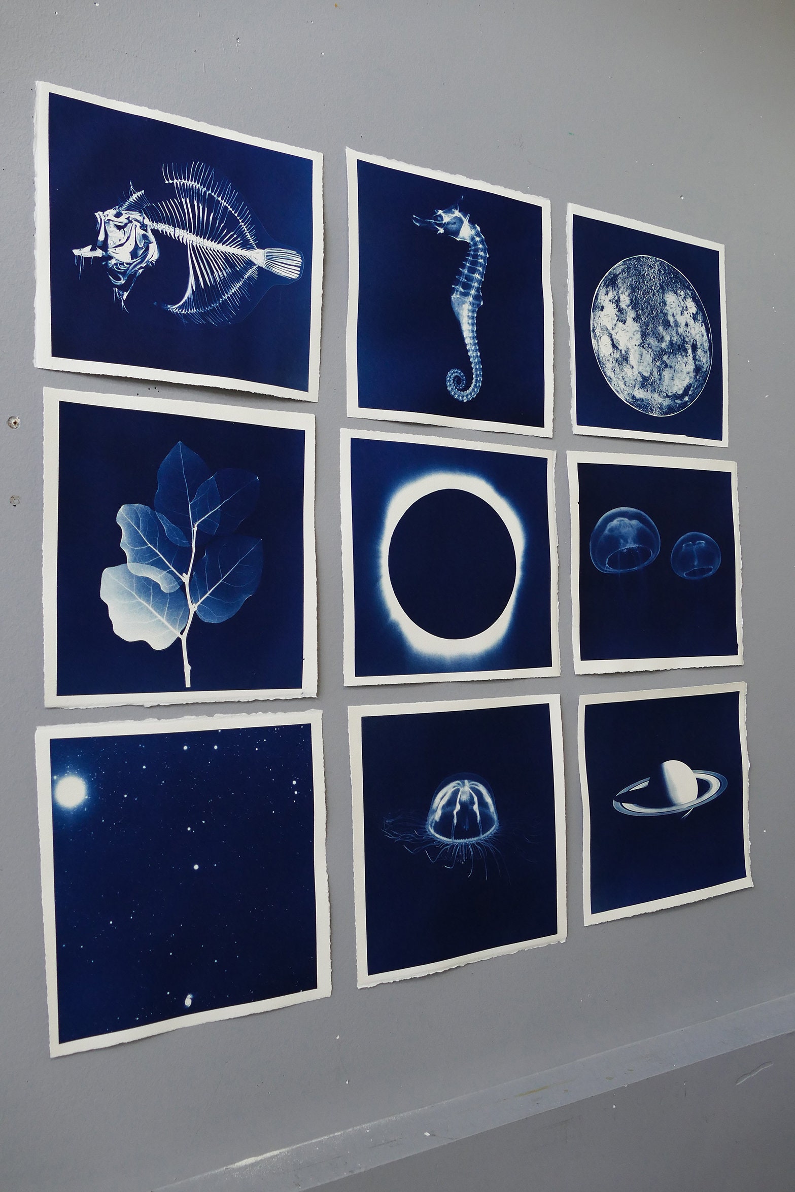 Star Field Cyanotype Hand Printed Photo Original Work on - Etsy