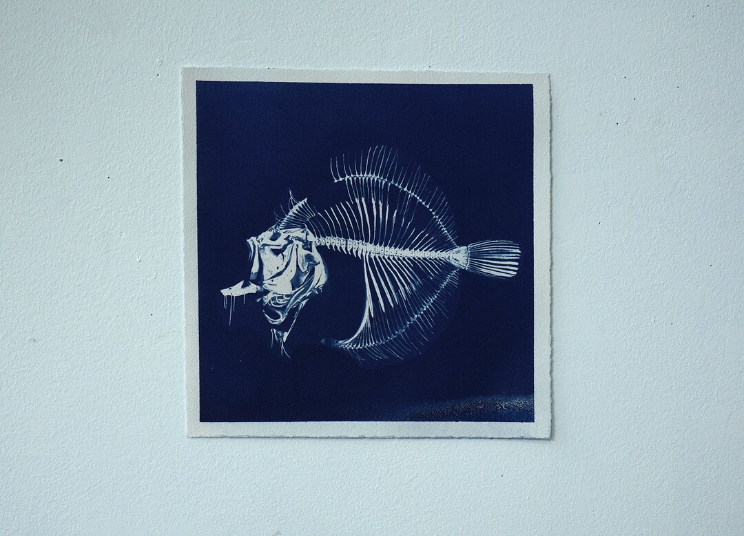 Fish Skeleton Cyanotype on Watercolor Paper (E) - Etsy