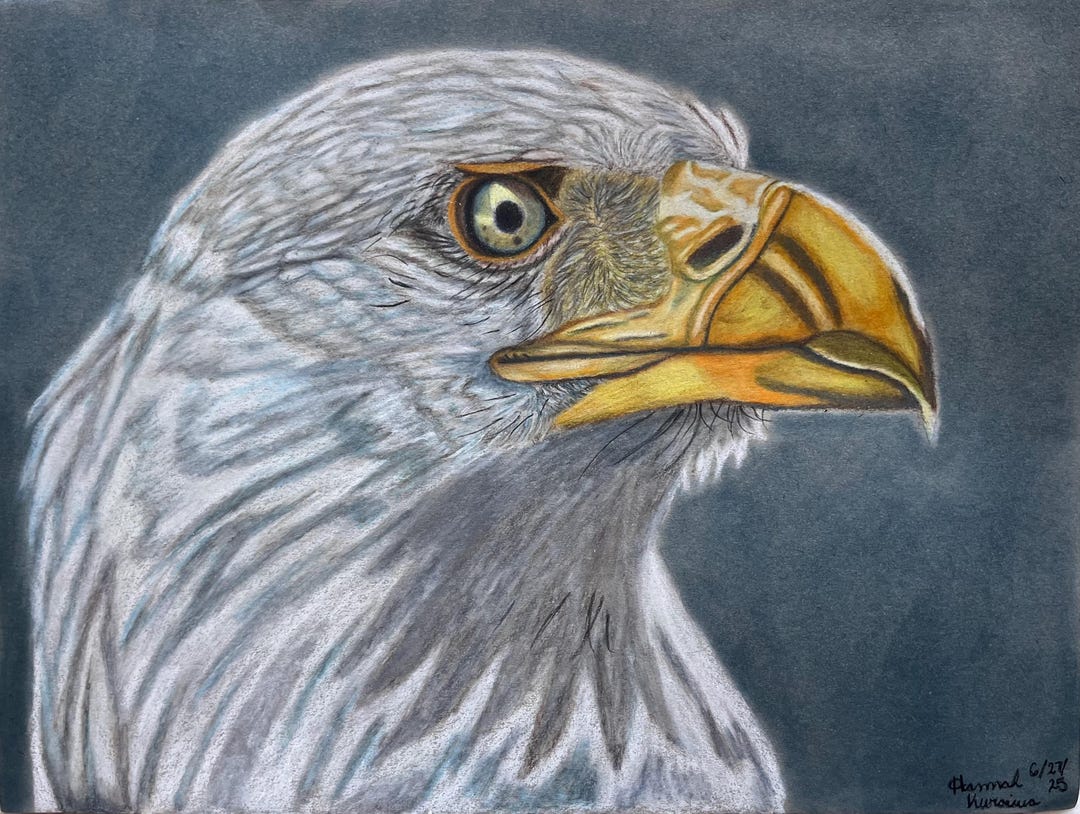 Original Bald Eagle Colored Pencil Art - Etsy