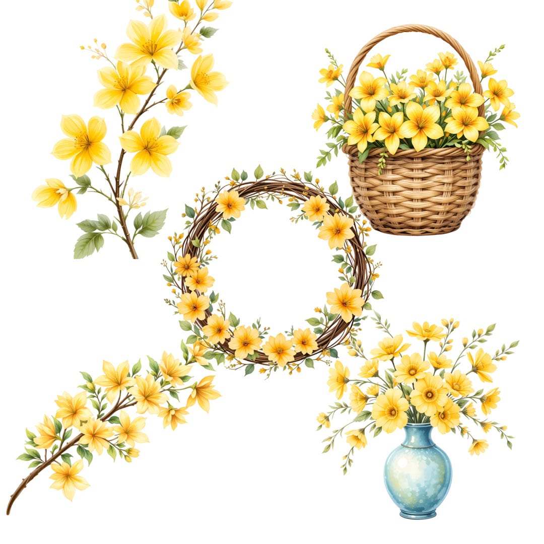 Watercolor Forsythia Clipart Bundle, Spring Flower Clipart Set, Yellow ...