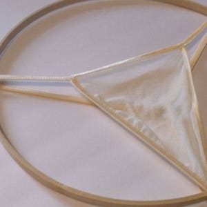 Men's SHEER G String Thong Flat Front Seamless Nudist Spa Male ...