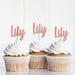 Personalized Mini Cake Toppers (set of 10): Custom Acrylic Cupcake ...