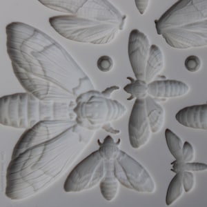 Nocturnal Insects Molds Re-design Prima Moth Wings Silicone for Resin ...