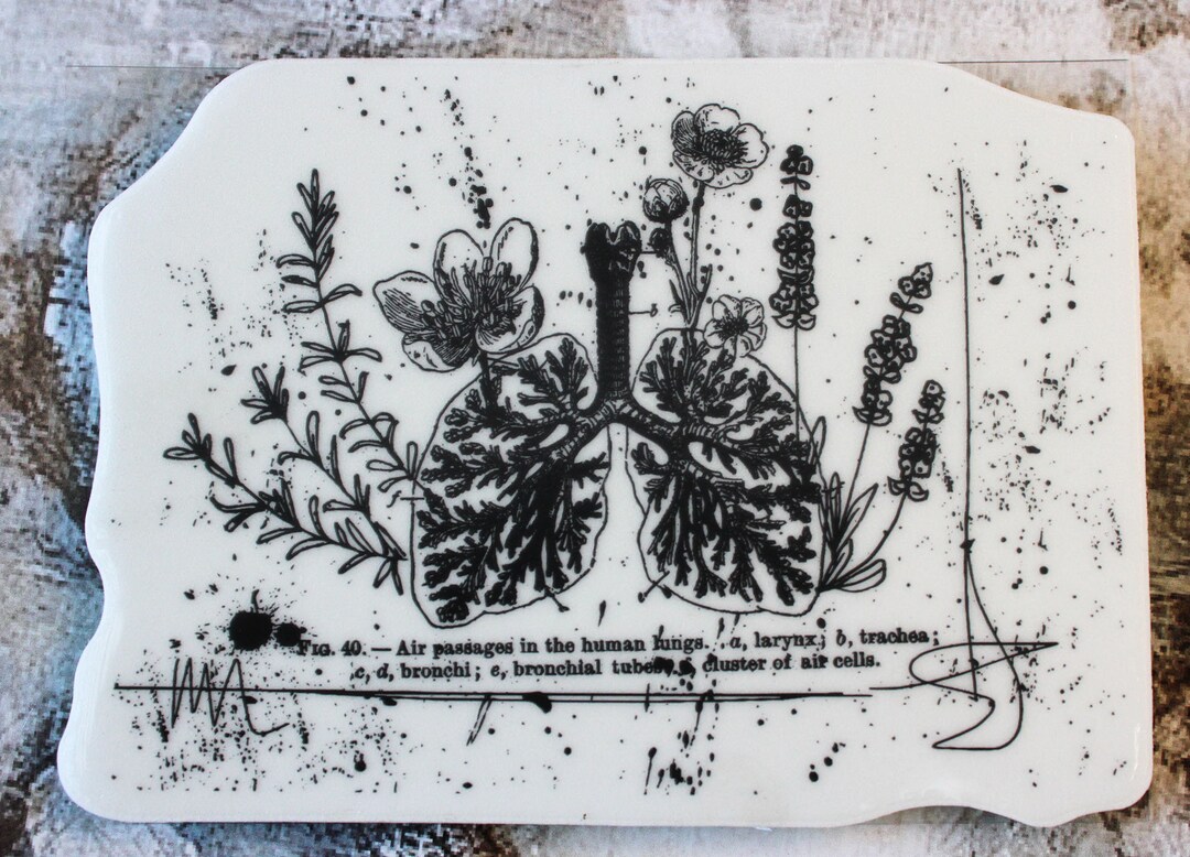 Mixed Media Cling Stamp Treasured Memories Prima 3 X 4.5 Inch Lungs ...