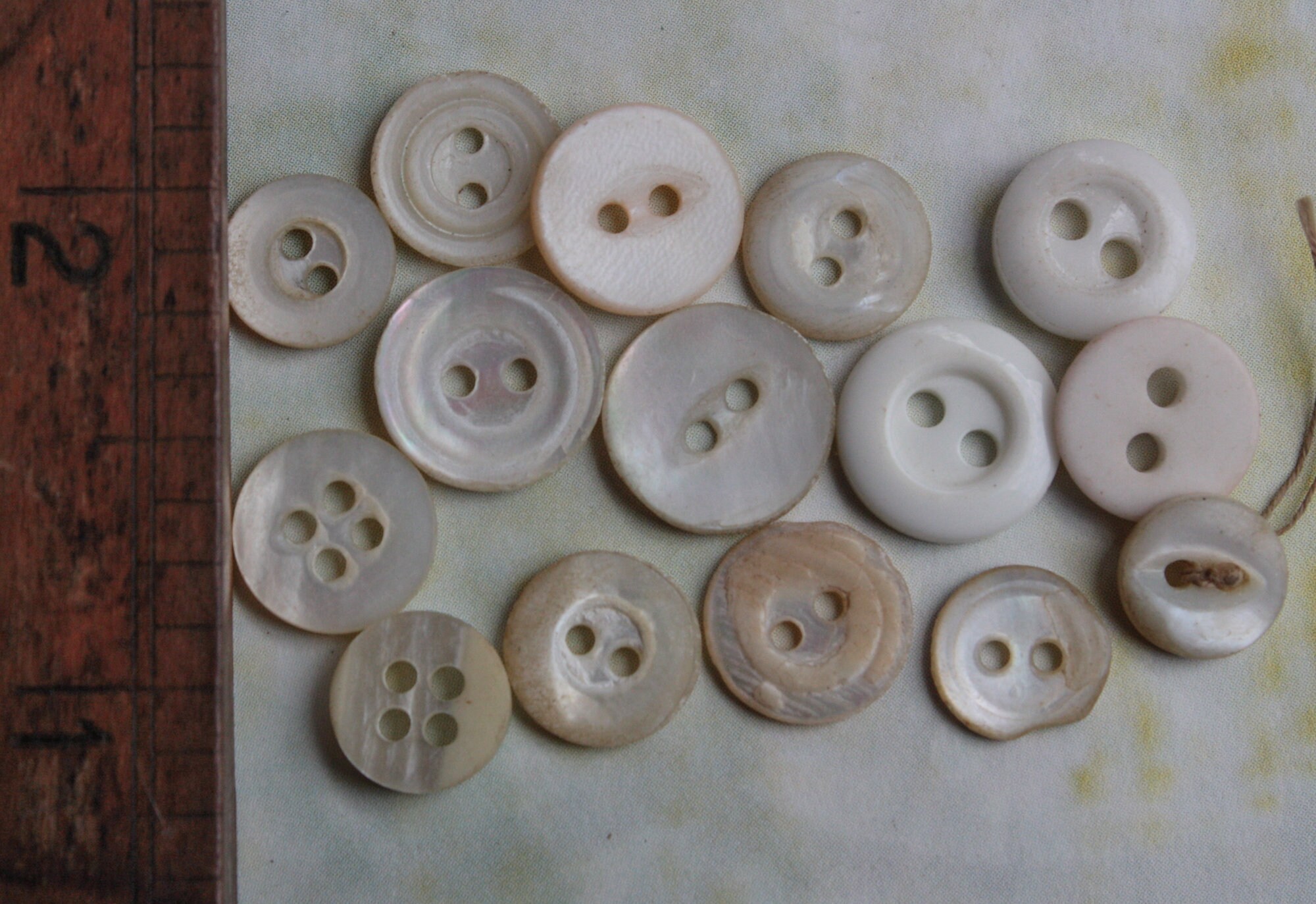 15 Buttons Small White Vintage Assortment Shell Pearl Plastic - Etsy