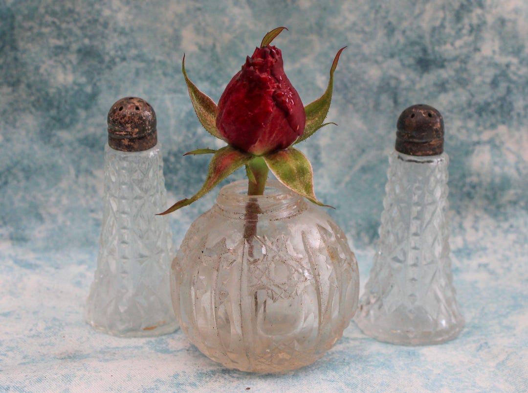 Salt & Pepper Glass Round Bottle Vintage - Etsy