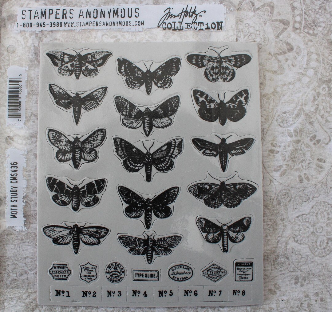 Moth Study Stamp Set Tim Holtz Collection Stampers Anonymous - Etsy