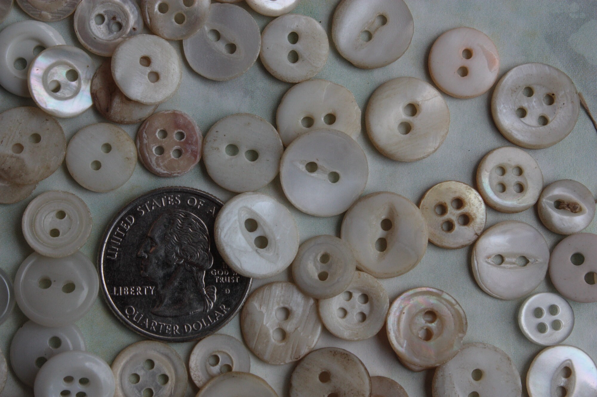 15 Buttons Small White Vintage Assortment Shell Pearl Plastic - Etsy