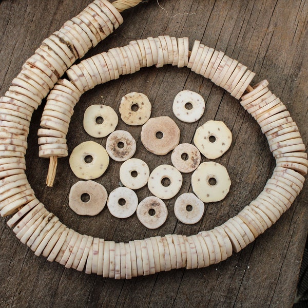 Ostrich Egg Shells - Etsy