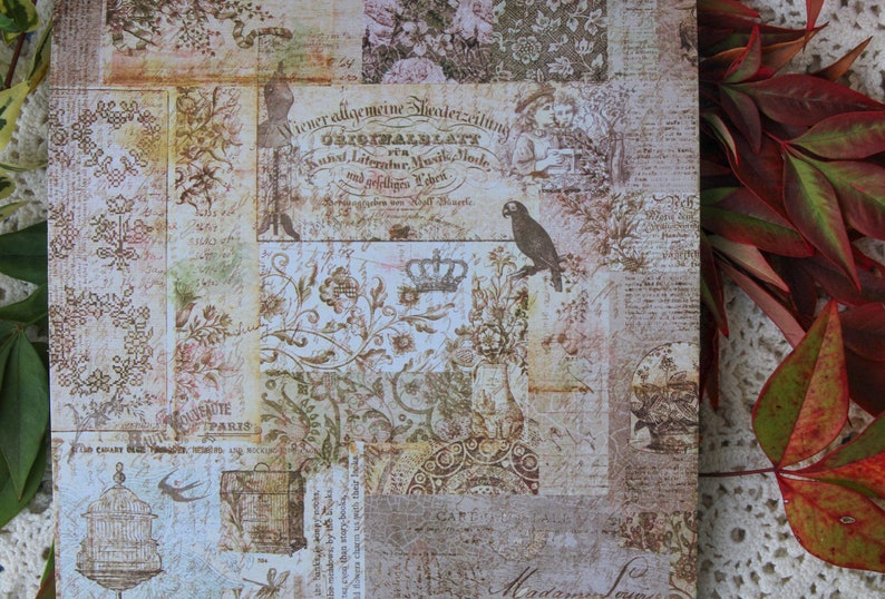 6x6 Paper Pad Nature Garden 16 Designs 48 Sheets Prima - Etsy