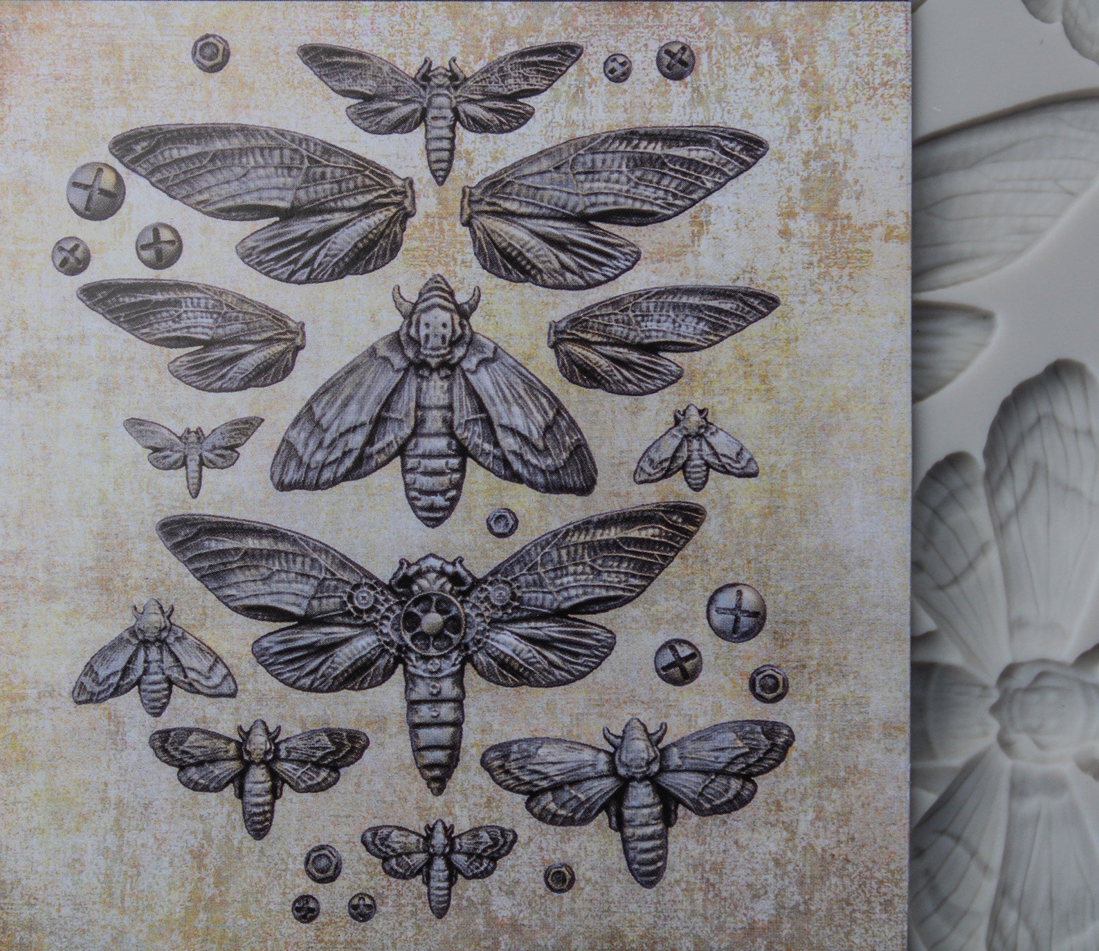 Nocturnal Insects Molds Re-design Prima Moth Wings Silicone for Resin ...