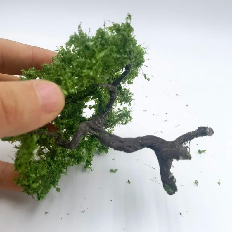 Miniature Mountain Pine Tree Model: Realistic Diorama Tree - Etsy