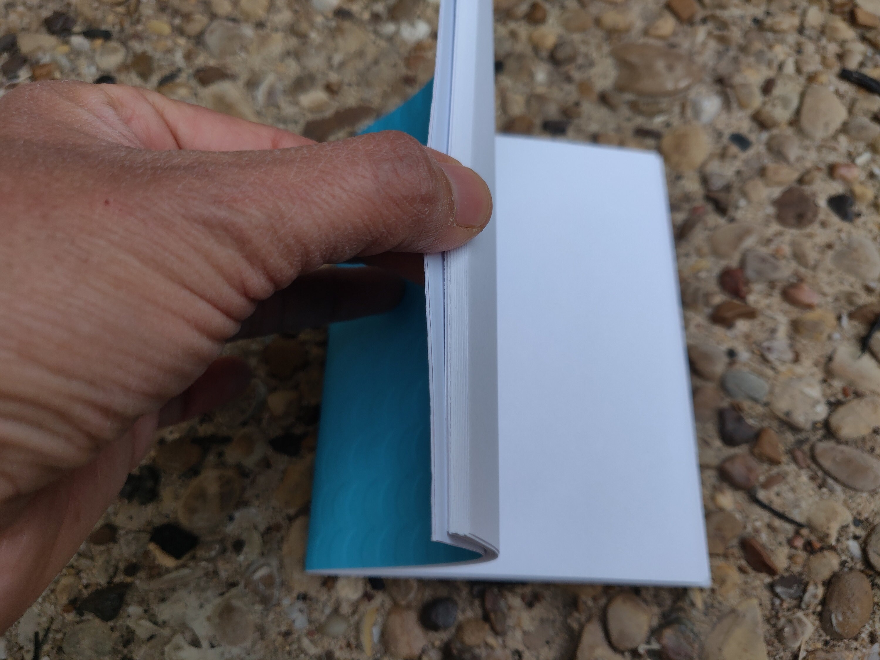 Sewn Bound Notebook, Plain Notebook, Handmade Journal, Mini Diary, Bond ...