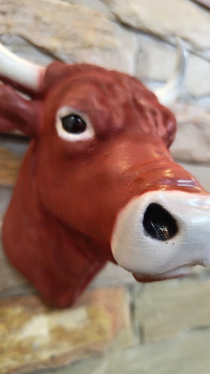 Bull Head Wall Mount, Spanish Bull Farm Home Décor, Gifts for Dad, Pets ...