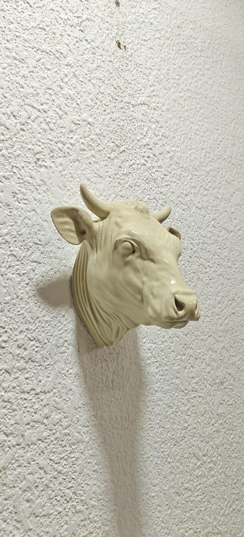 Jersey Cow Head Wall Mount, Bull, Farm, Home Décor, Gifts for Dad, Pets ...