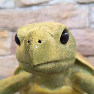 Turtle Fish Head Wall Mount, Sea World Home Décor, Oceanic Gifts for ...