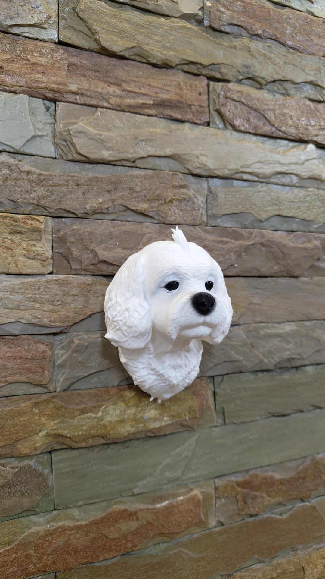 Maltese Dog Head Wall Mount, Dog, Puppy, Home Décor, Gifts for Dad ...