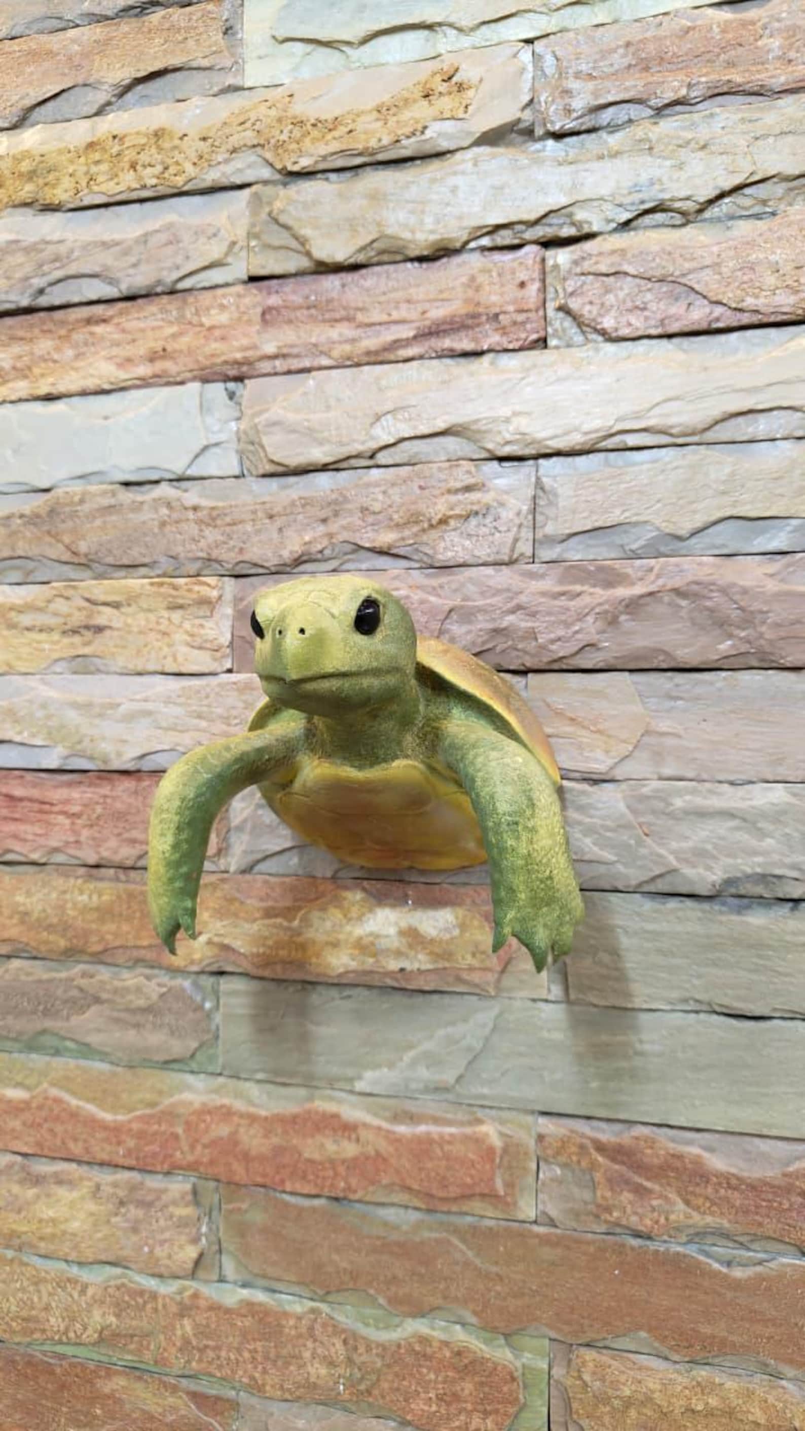 Turtle Fish Head Wall Mount, Sea World Home Décor, Oceanic Gifts for ...