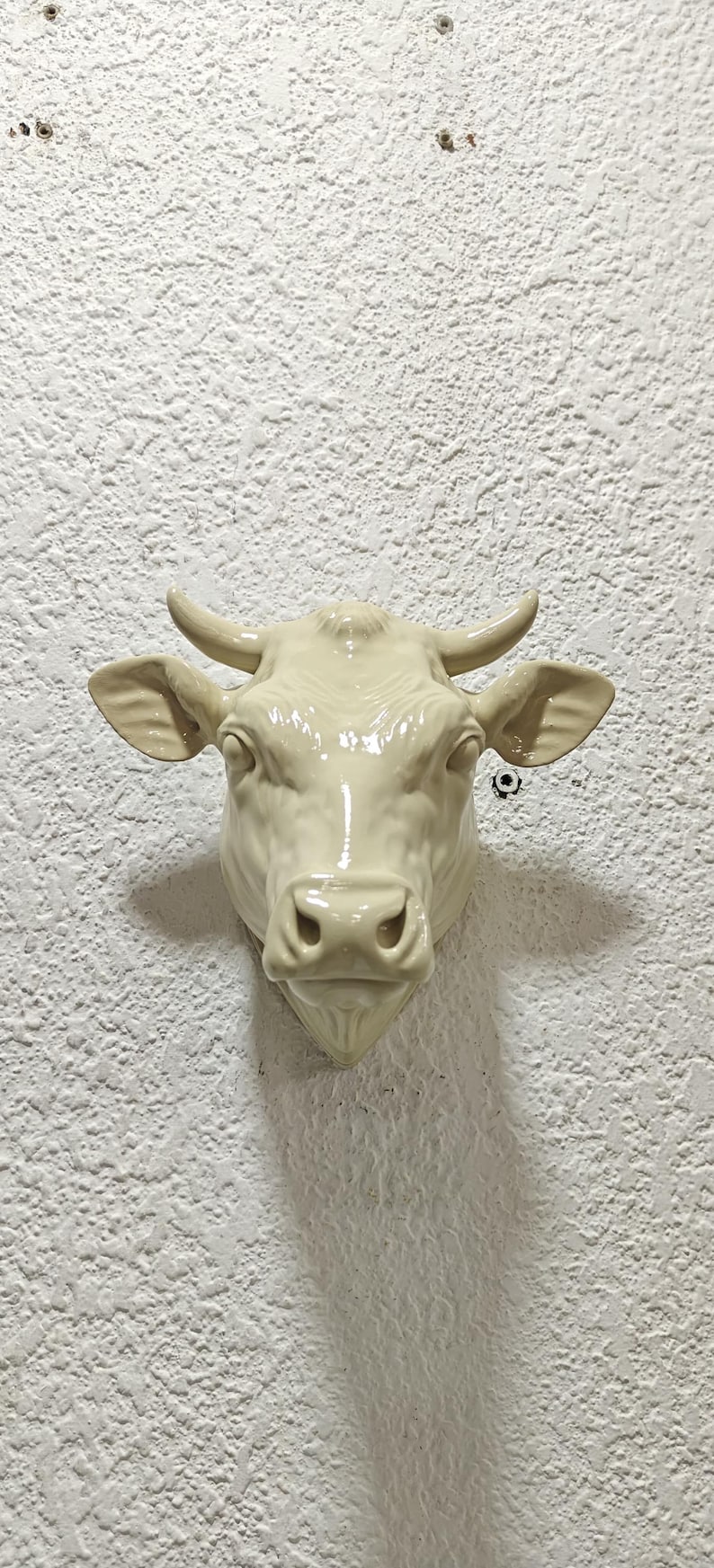 Jersey Cow Head Wall Mount, Bull, Farm, Home Décor, Gifts for Dad, Pets ...