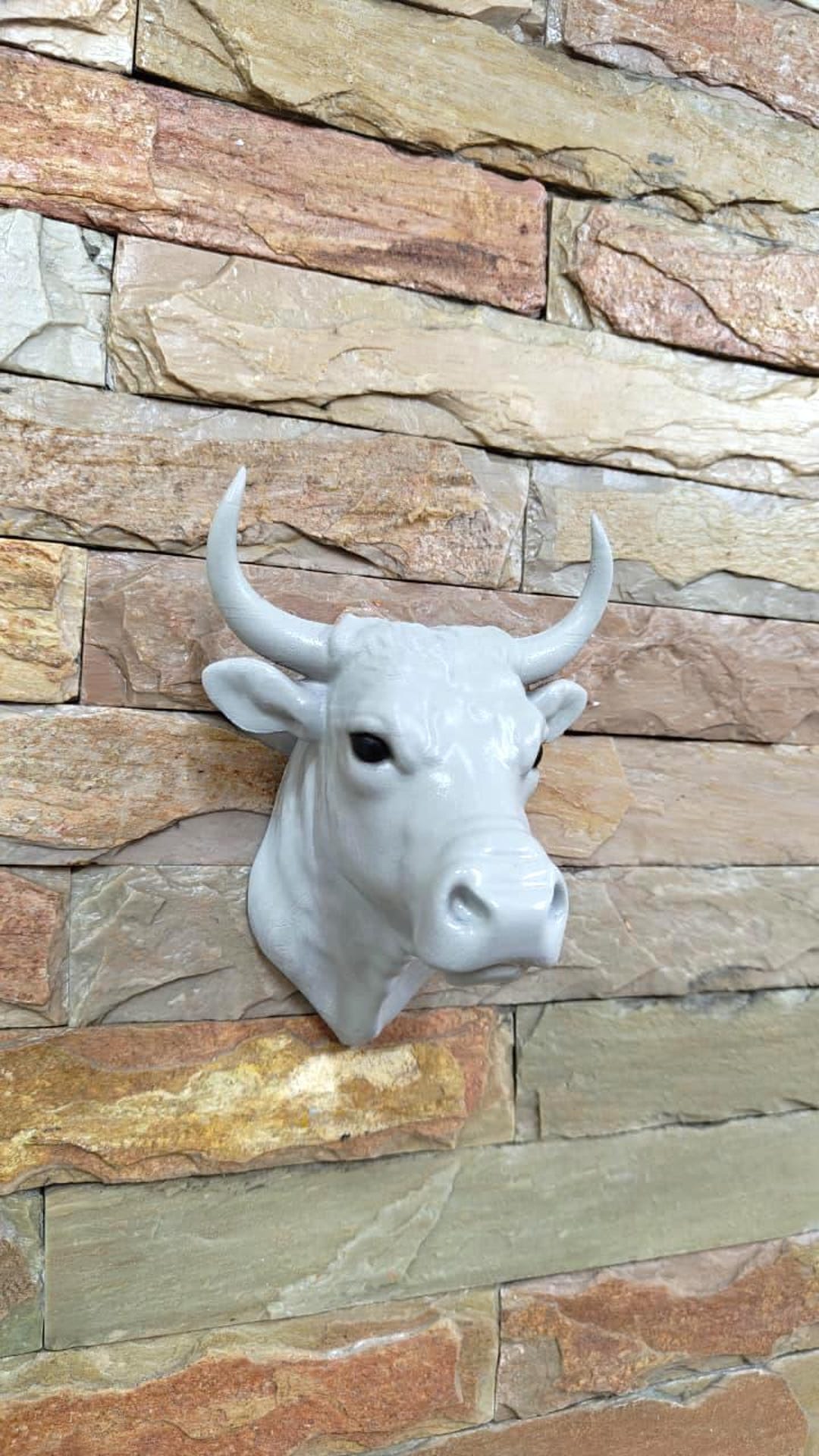Bull Head Wall Mount, Spanish Bull Farm Home Décor, Gifts for Dad, Pets ...