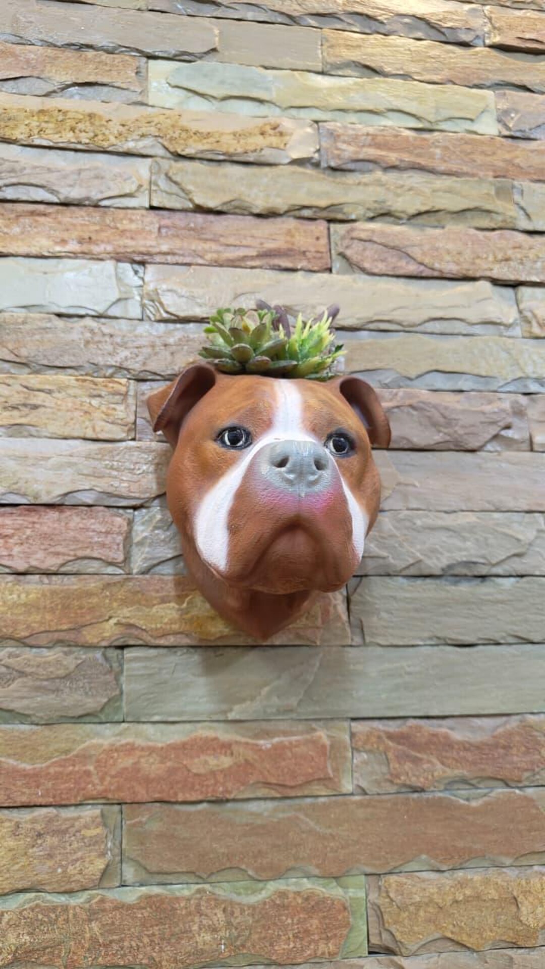 American Bully Pitbull Wall Mount Planter Pot, Animal Wall Flower Vase ...