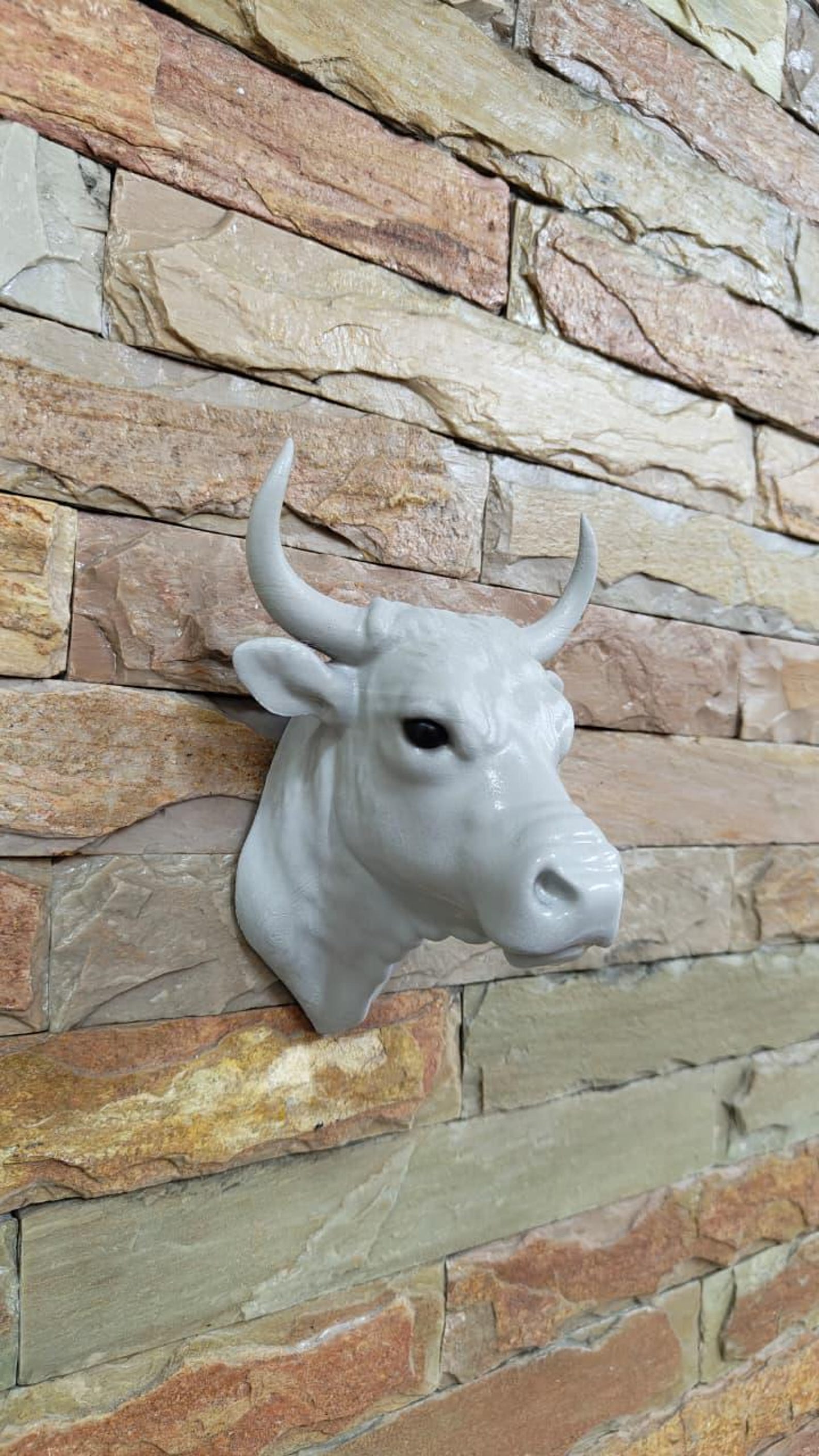 Bull Head Wall Mount, Spanish Bull Farm Home Décor, Gifts for Dad, Pets ...