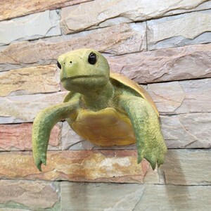 Turtle Fish Head Wall Mount, Sea World Home Décor, Oceanic Gifts for ...