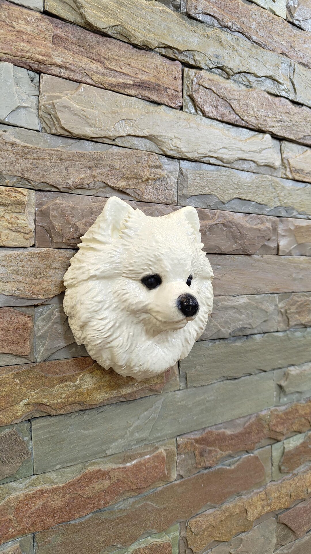 Pomeranian Dog Head Wall Mount, Home Décor, Gifts for Dad, Pets, Living ...