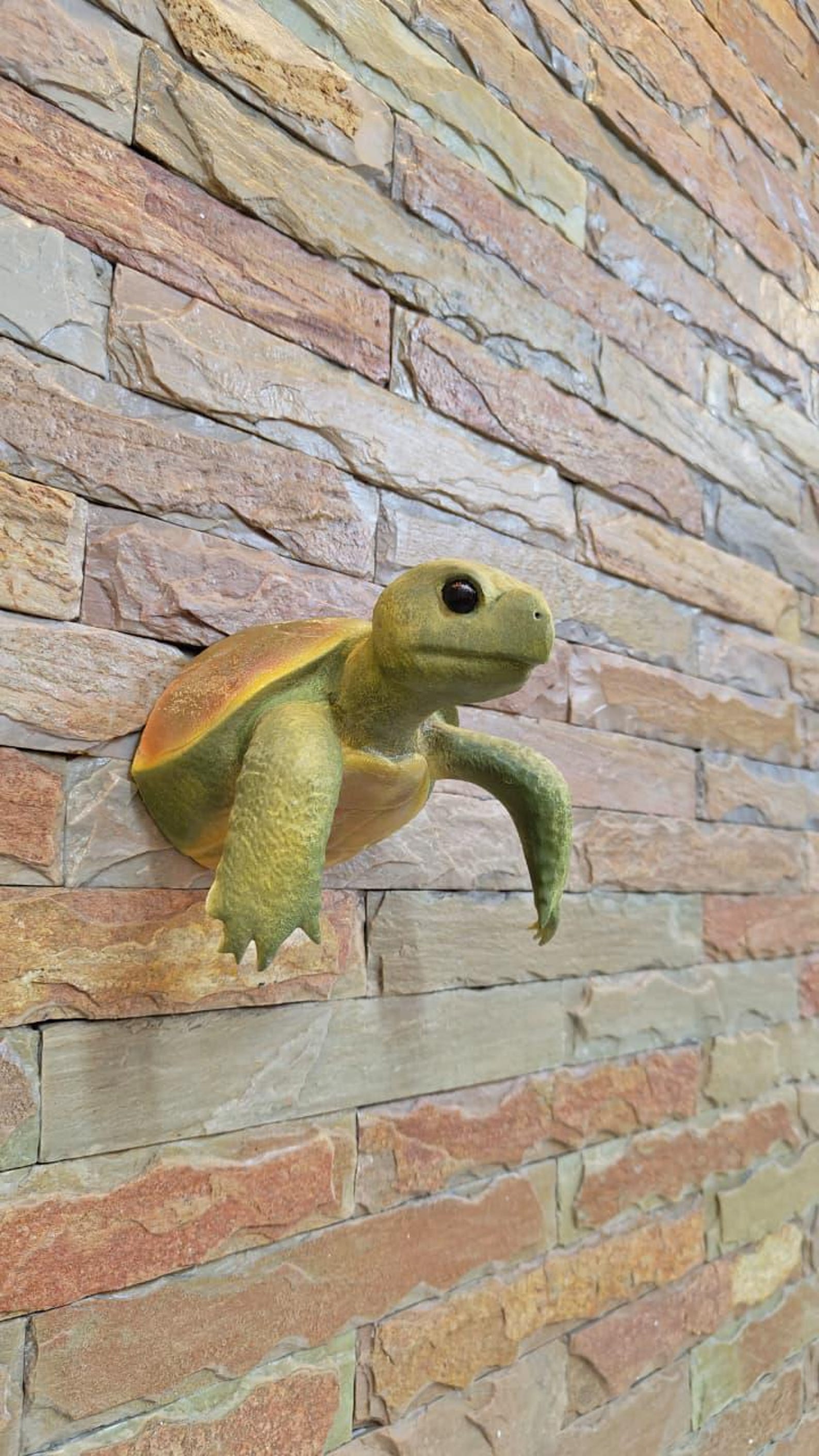 Turtle Fish Head Wall Mount, Sea World Home Décor, Oceanic Gifts for ...